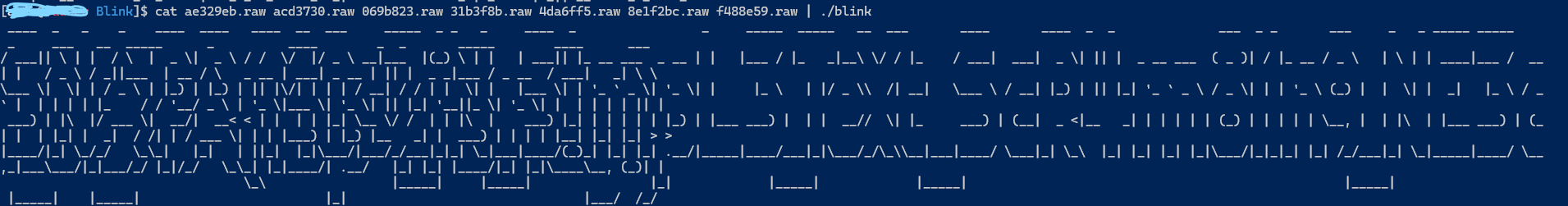 Blink Pr1m3d Ctf Writeups